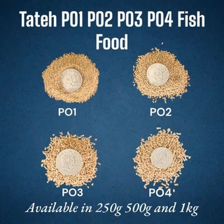 Pare Koi, Online Shop | Shopee Philippines