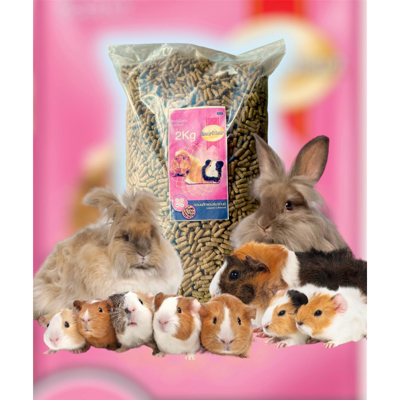 SMART HEART RODENT FOOD 2kg repak | Shopee Philippines