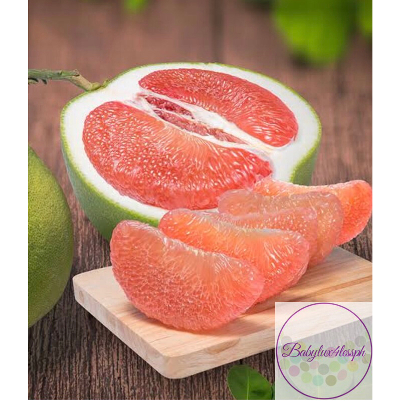 Red Chandler Pomelo / Suha seeds, 3 pcs | Shopee Philippines