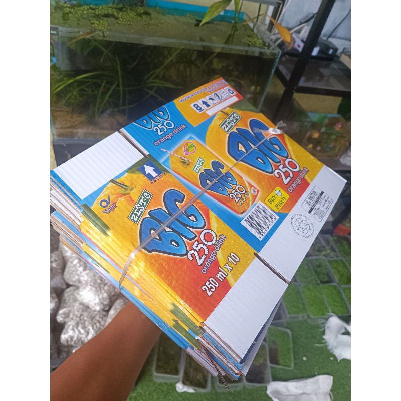 BNEW EMPTY ZESTO BOX 250 25PCS | Shopee Philippines