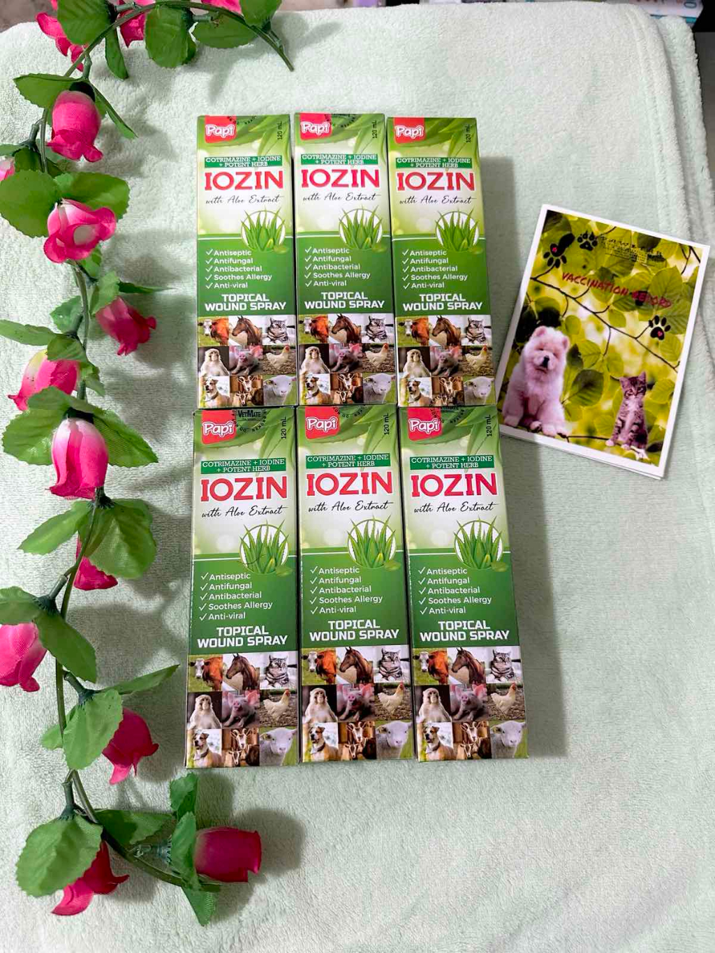 PAPI IOZIN SPRAY 120 mL (Topical Spray) | Shopee Philippines PAPI IOZIN SPRAY 120 mL (Topical Spray) | Shopee Philippines