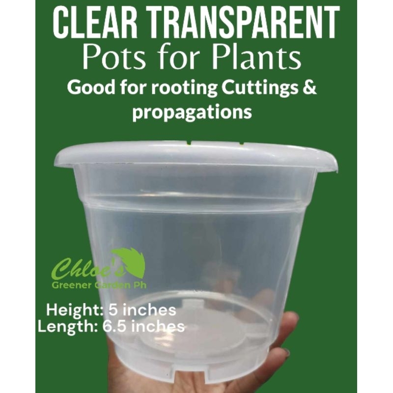 Transparent Clear White Gardening planters Pot for plants see through ...