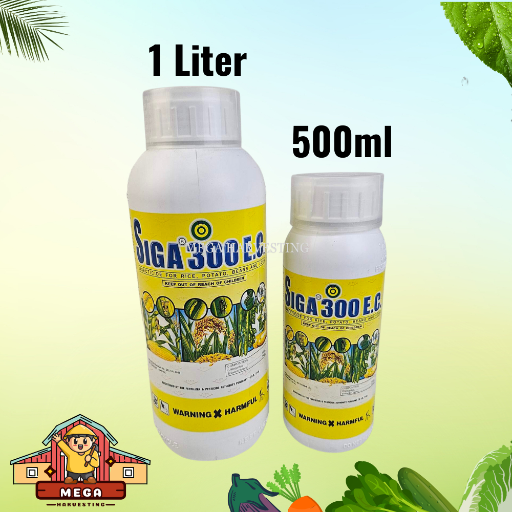 SIGA 300 EC 1L 500ML INSECTICIDE FOR CROPS RICE CORN POTATO BEANS MEGA ...