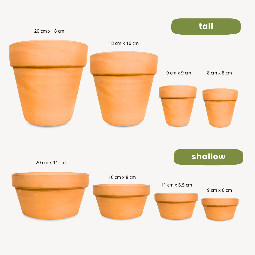 Plant Culture PH: Smooth Japanese Terracotta Planters (Small) | Shopee ...