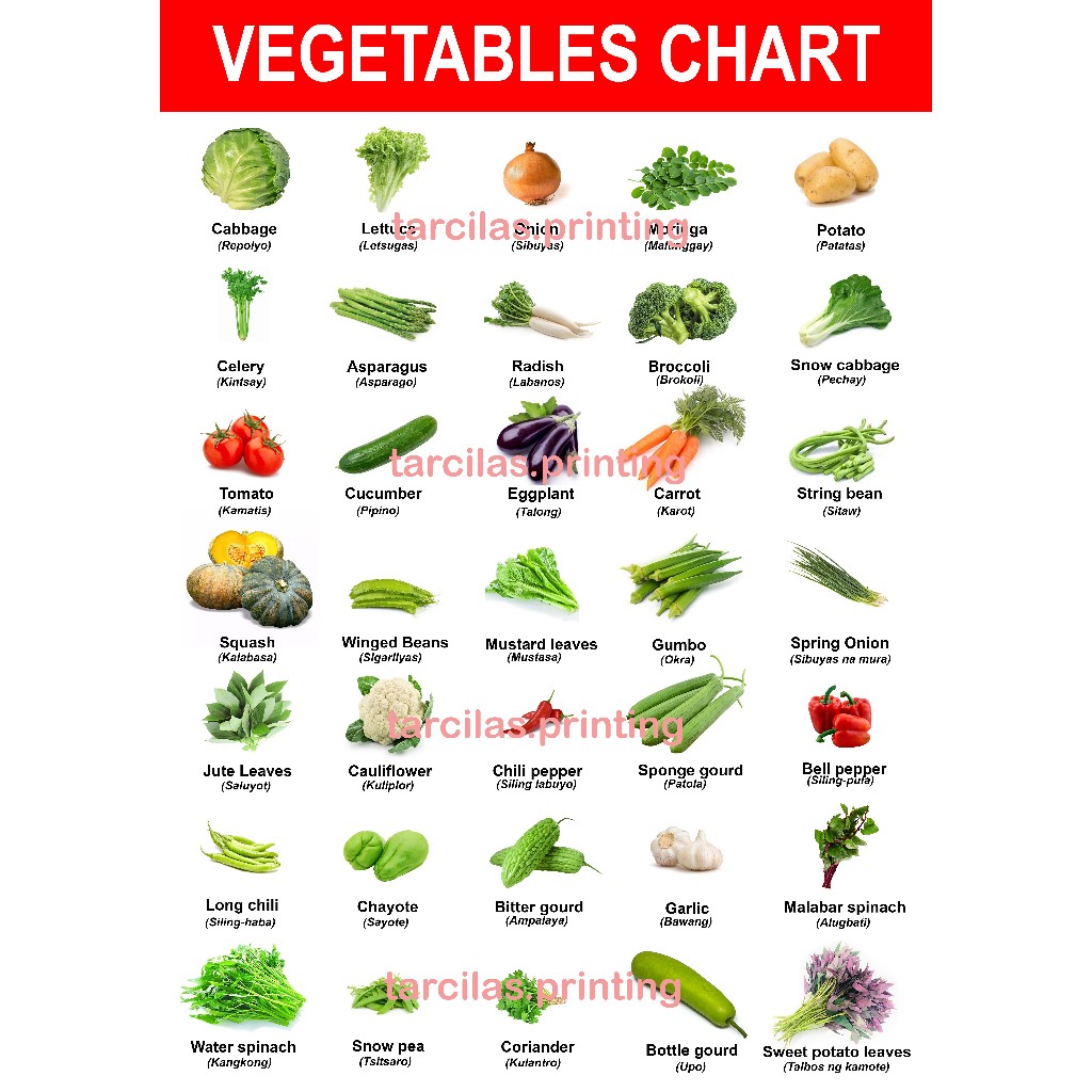 Vegetables Chart A4 Laminated High Print Quality | Shopee Philippines