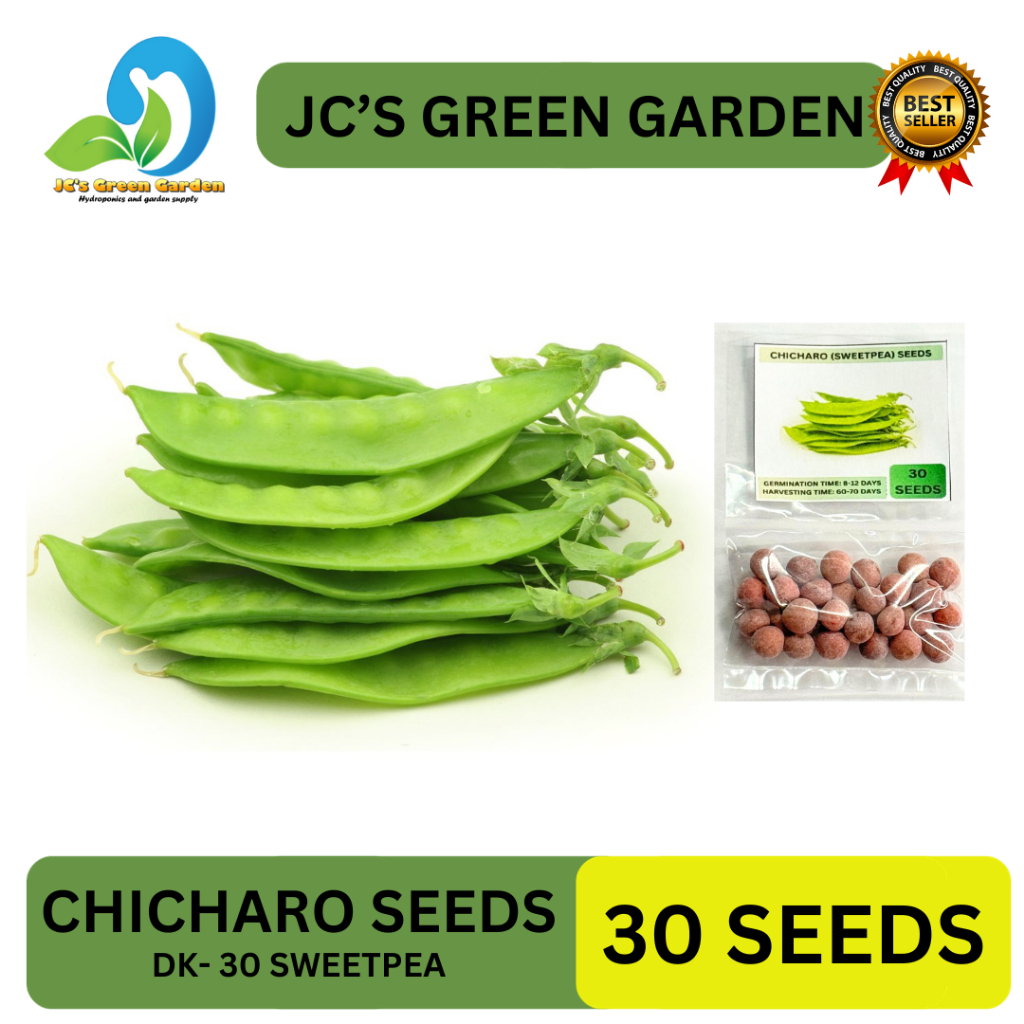(30 SEEDS) CHICHARO/SITSARO SEEDS/FOR PLANTING/DK-30 SWEETPEA/HIGH ...