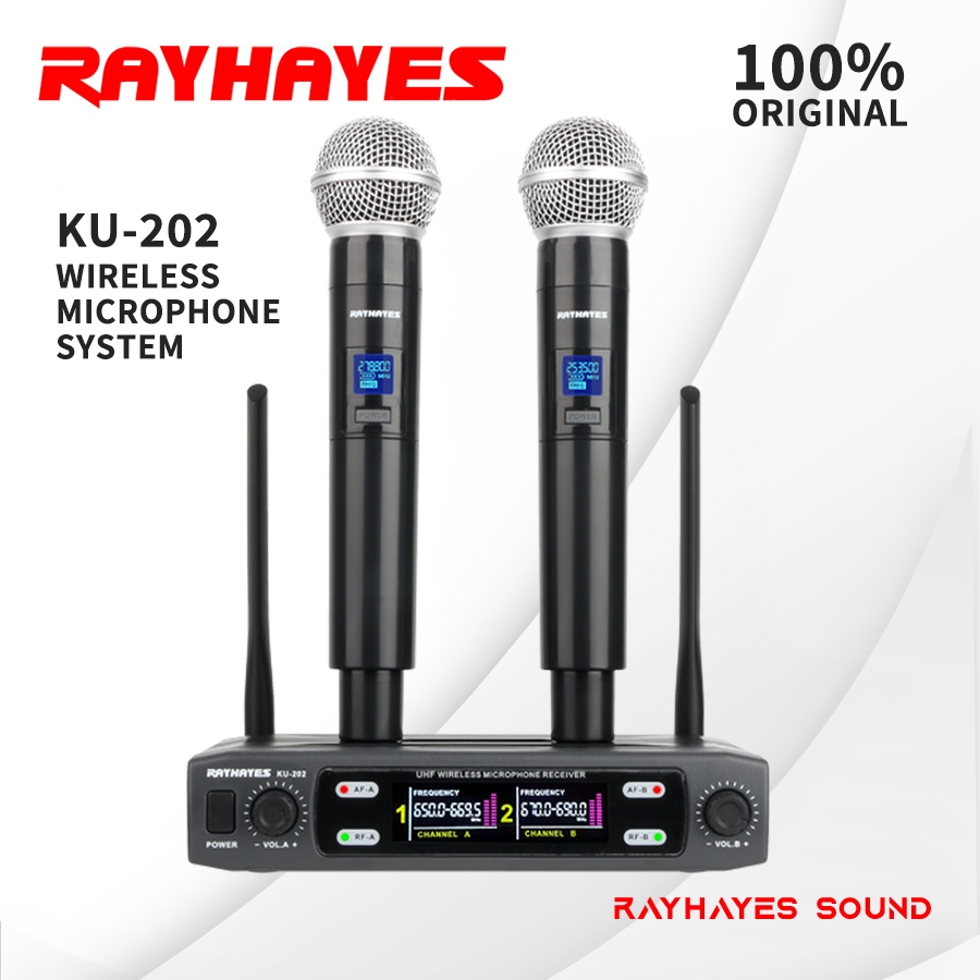 RAYHAYES Wireless Microphone Handheld Dual Channels Fixed Frequency For ...