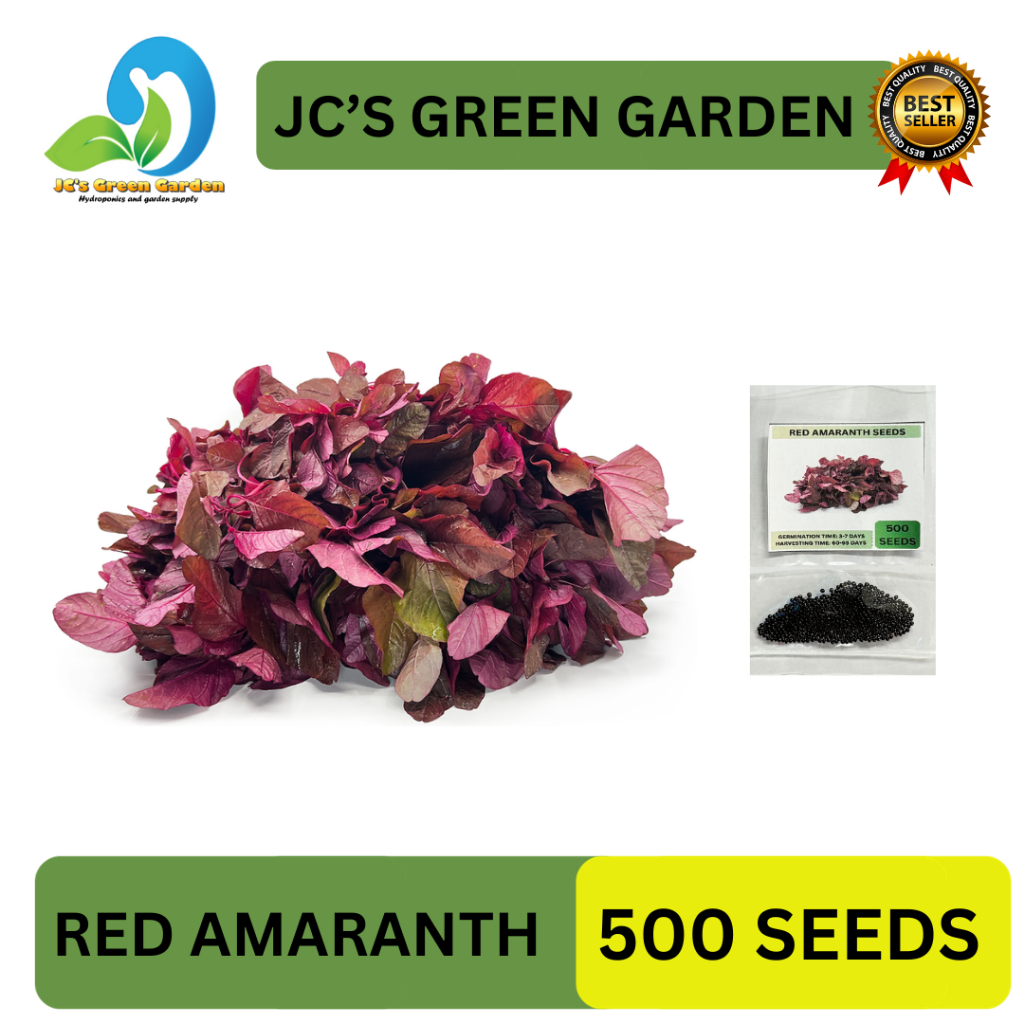 VALUE PACK (500 SEEDS) RED AMARANTH SEEDS/HYBRID/FOR PLANTING/SUPER RED ...