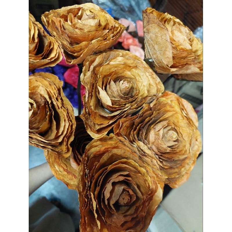 Dried Fossilized Rose Sold per stem(1 stem | Shopee Philippines