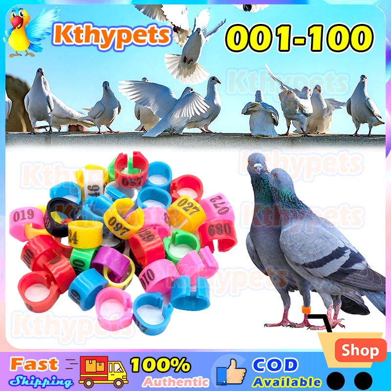 Clip ring for pigeon 2024 100 pcs Plastic pigeon clip ring with number ...