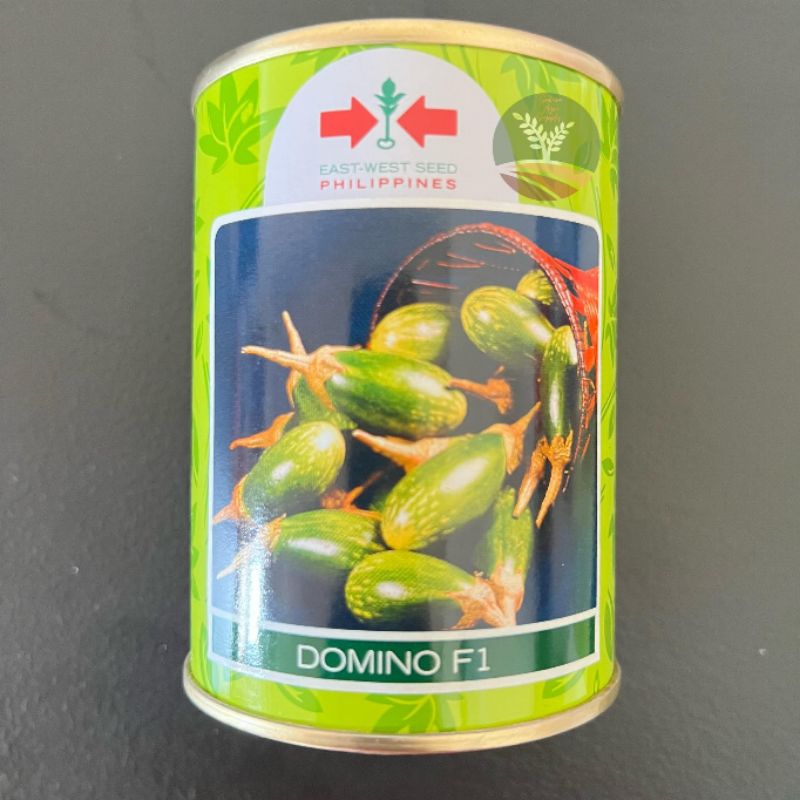 DOMINO F1 EGGPLANT SEEDS EAST WEST HYBRID TALONG VEGETABLE SEEDS 50g ...