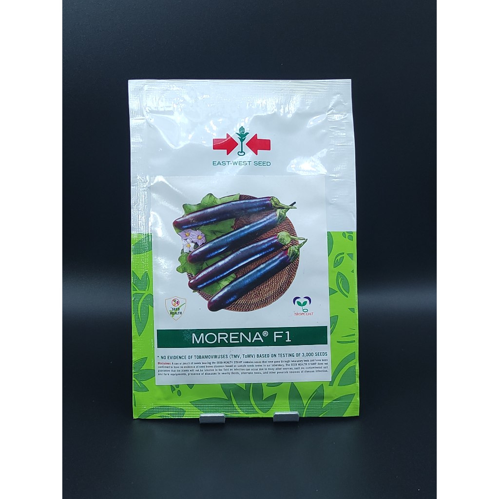 EAST-WEST SEED MORENA F1 HYBRID EGGPLANT/TALONG SEEDS (875 SEEDS ...