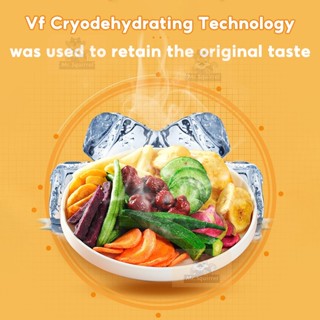 Mr Squirrel 250g Vegetable Chips 12 in 1 Dried Fruits and Vegetables ...