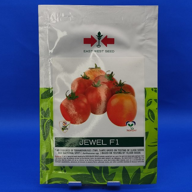 EAST-WEST SEEDS JEWEL F1 HYBRID TOMATO SEEDS ASENSO PACK (500 SEEDS ...