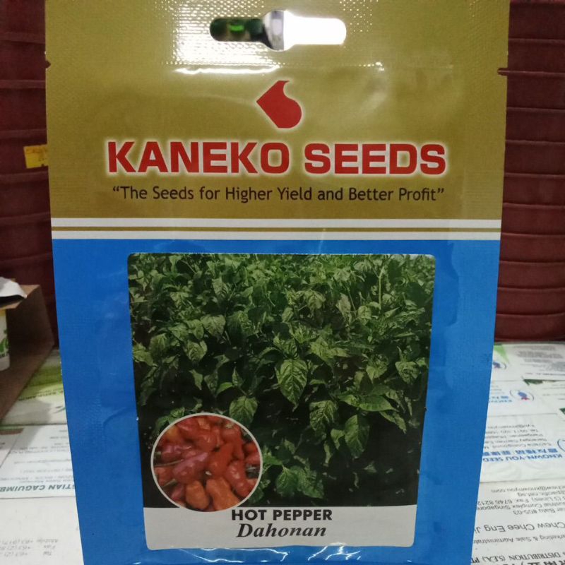 hot pepper dahonan | Shopee Philippines