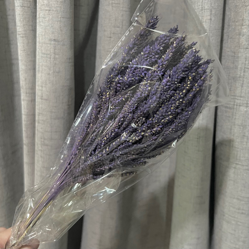 Dried Trigo Grass(LOCAL) | Shopee Philippines