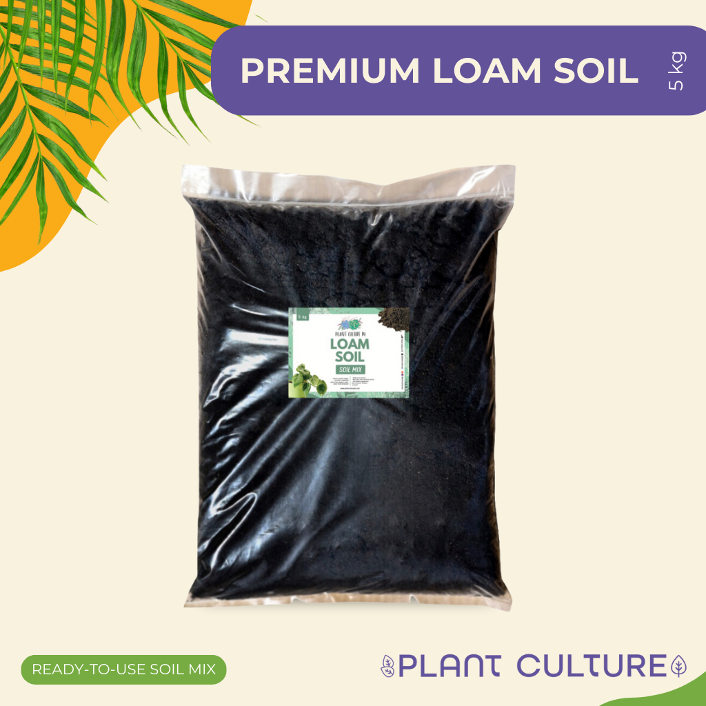 Plant Culture Premium Loam Soil 5Kg Best for Landscaping Vegetable and Fruit-bearing Plants ...