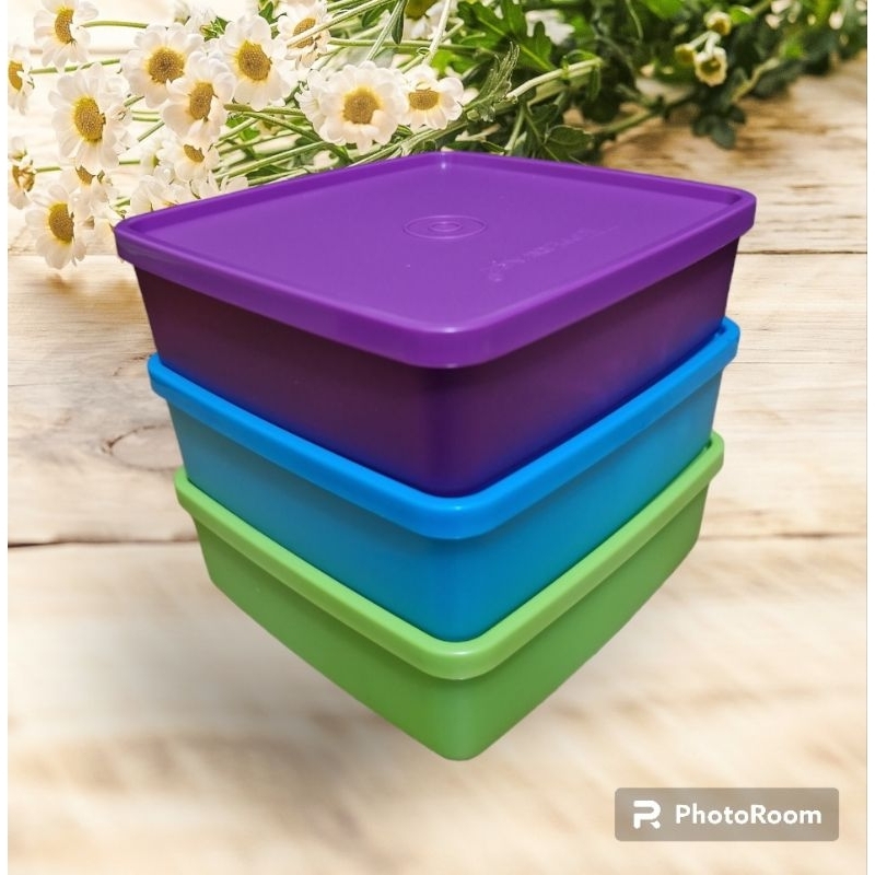 Tupperware Brands Large Square Away | Shopee Philippines