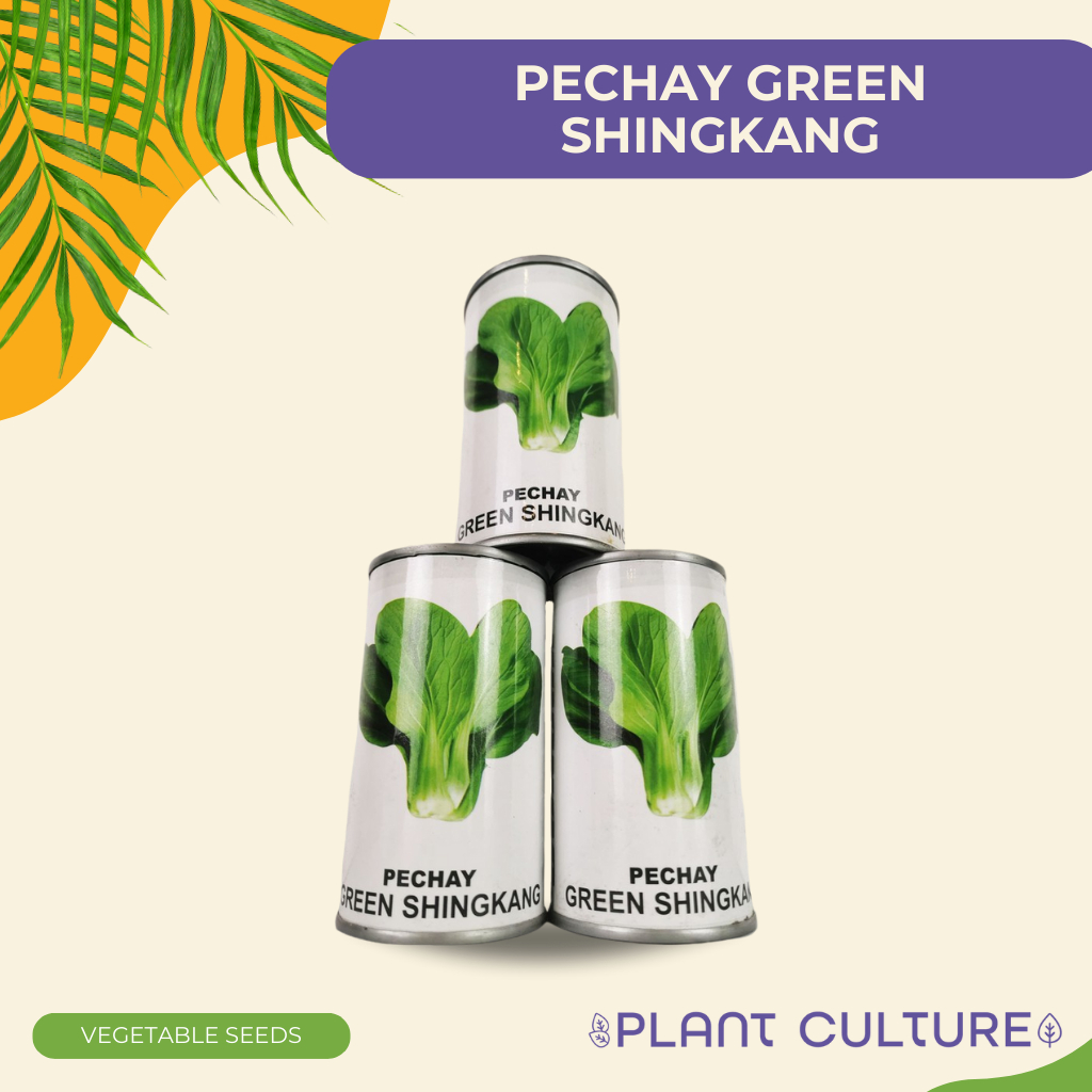 Condor Quality Seeds Pechay Pakchoi Petsay Green Shingkang 14000 ...