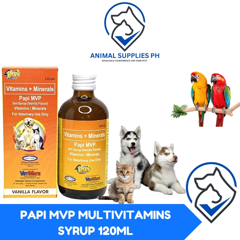 PAPI MVP MULTIVITAMINS SYRUP 120ml | Shopee Philippines