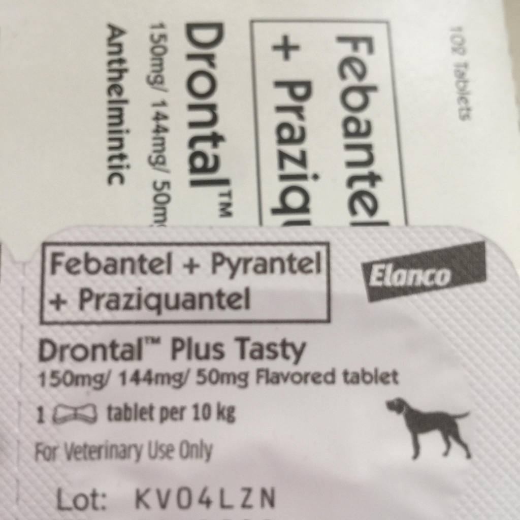 Drontal Plus Tasty Dewormer for Dogs 1 Tablet | Shopee Philippines