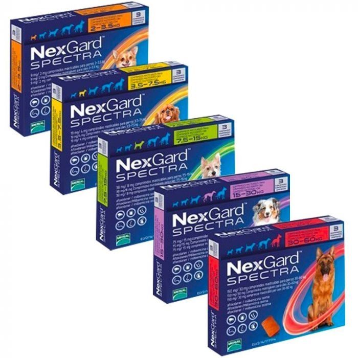 Nexgard/Spectra exp 11/2026100% authentic 1box | Shopee Philippines