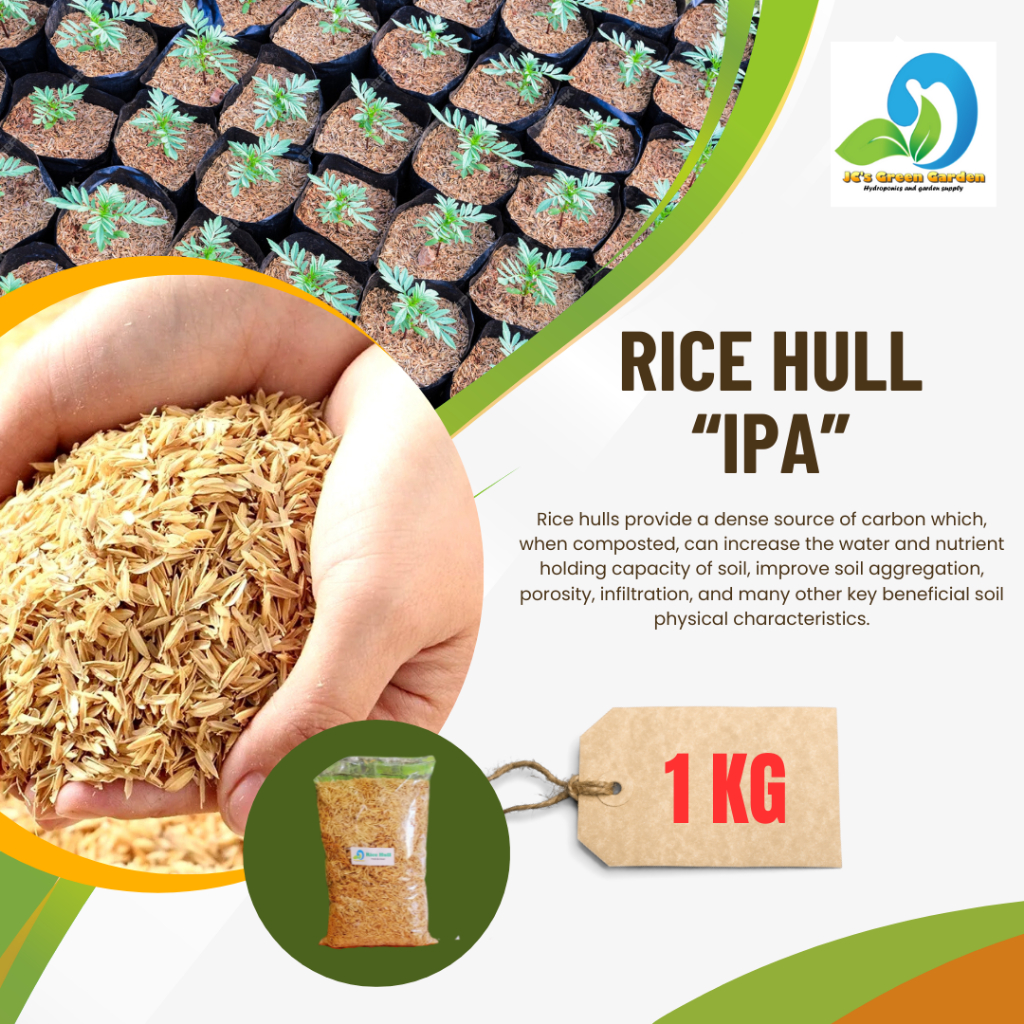 (1/2/3/4/5 KILOS) Rice Hull (Ipa) - mix to your soil for organic ...
