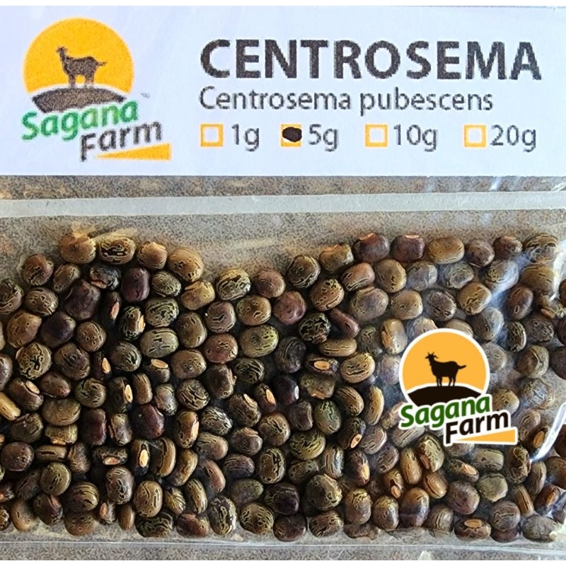 Centrosema Seeds 5 grams (Centrosema pubescens) | Shopee Philippines