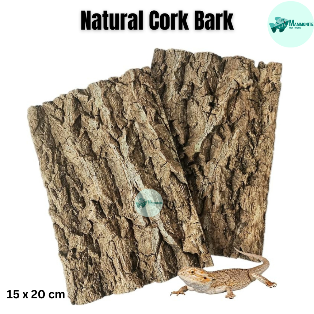 Reptile Cork Bark Natural Cork Bark Tarantula Hideout log 15 cm x 20 cm ...