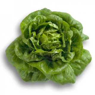 Katanim Store, Online Shop | Shopee Philippines