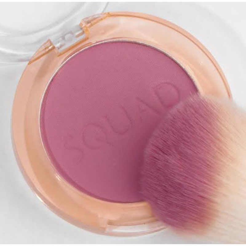 RIBBON shade Petal Play Compact Powder Blush by SQUAD COSMETICS ...