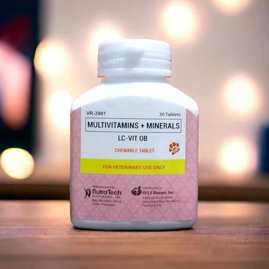 LC-Vit OB Chewable Tablet: Multivitamins + Minerals | Shopee Philippines