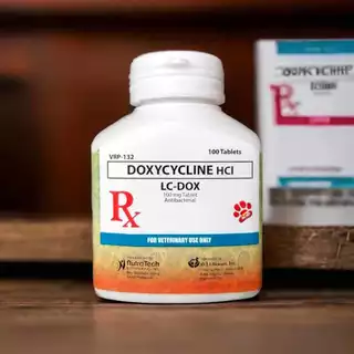 doxycycline - Best Prices and Online Promos - Jun 2025 | Shopee Philippines