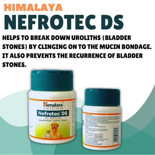 [APS] NEFROTEC DS SOLD PER PIECE / VET TABLETS / URINARY ANTISEPTIC ...