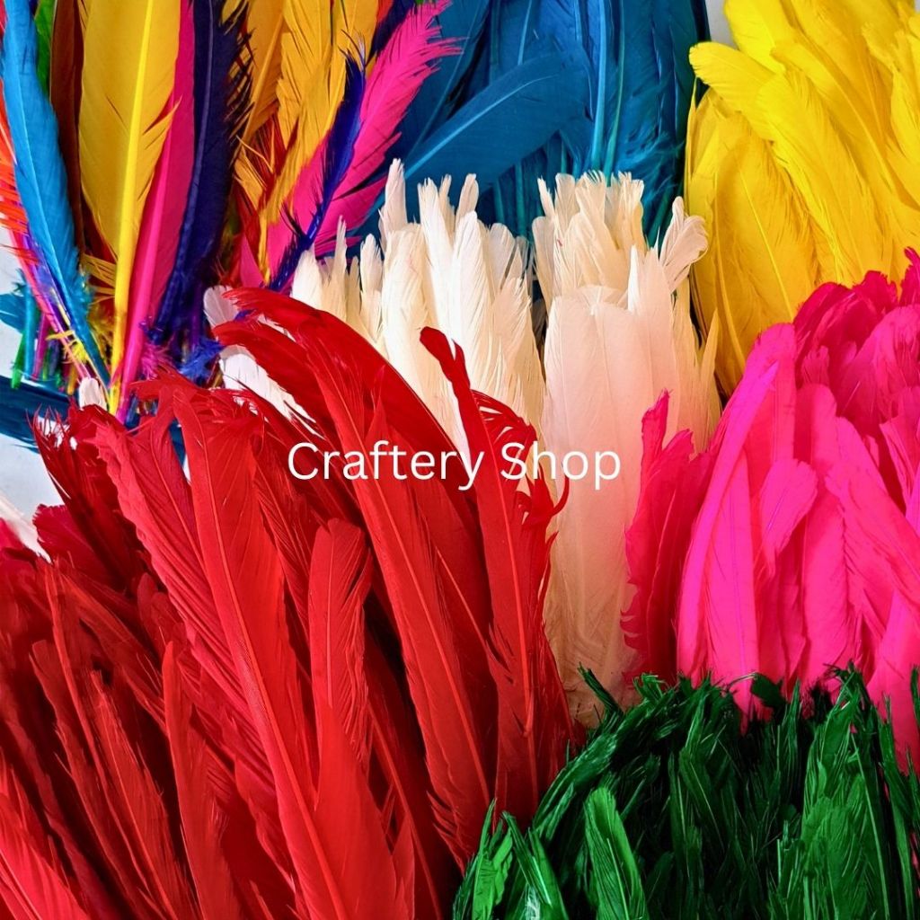 Chicken Feathers 10 pieces 5 to 8 inches | Shopee Philippines