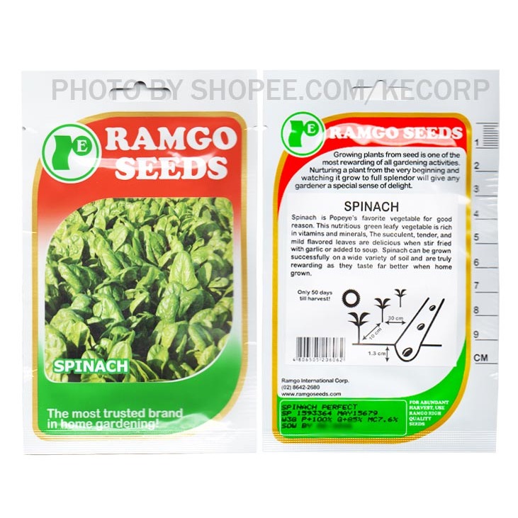 Ramgo Seeds Sold Per Pack Per Variety - Alugbati Cabbage Bunching Onion ...