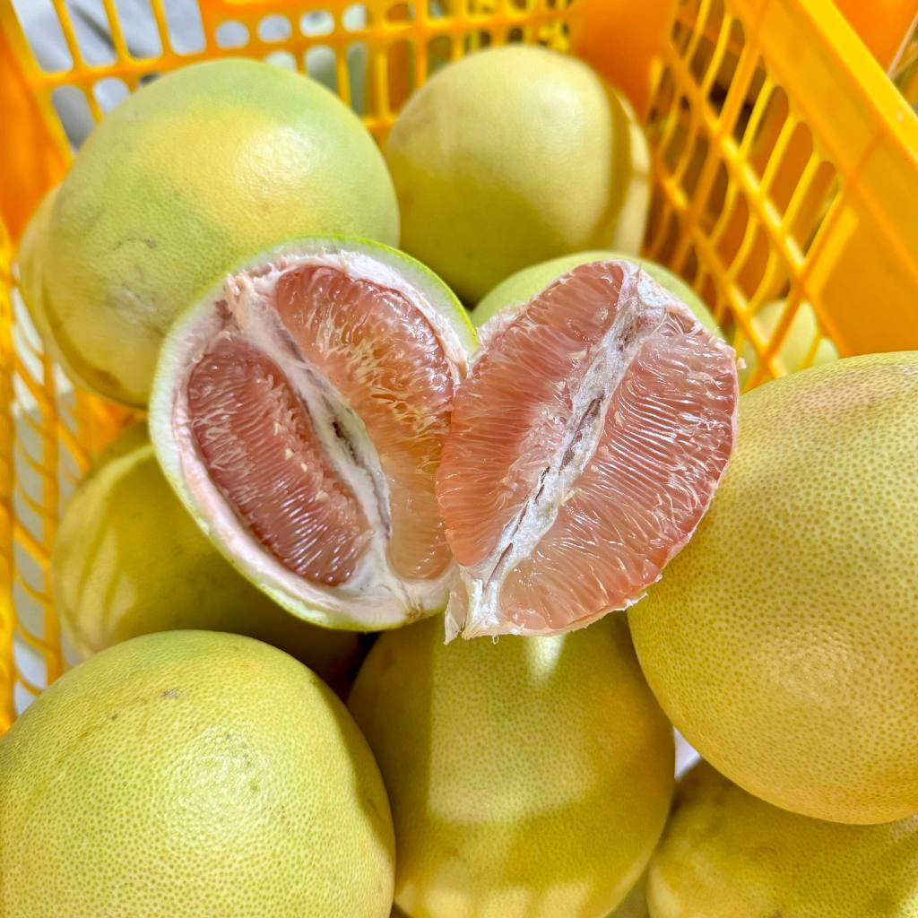 Pomelo Davao 5 kilograms per Box | Shopee Philippines