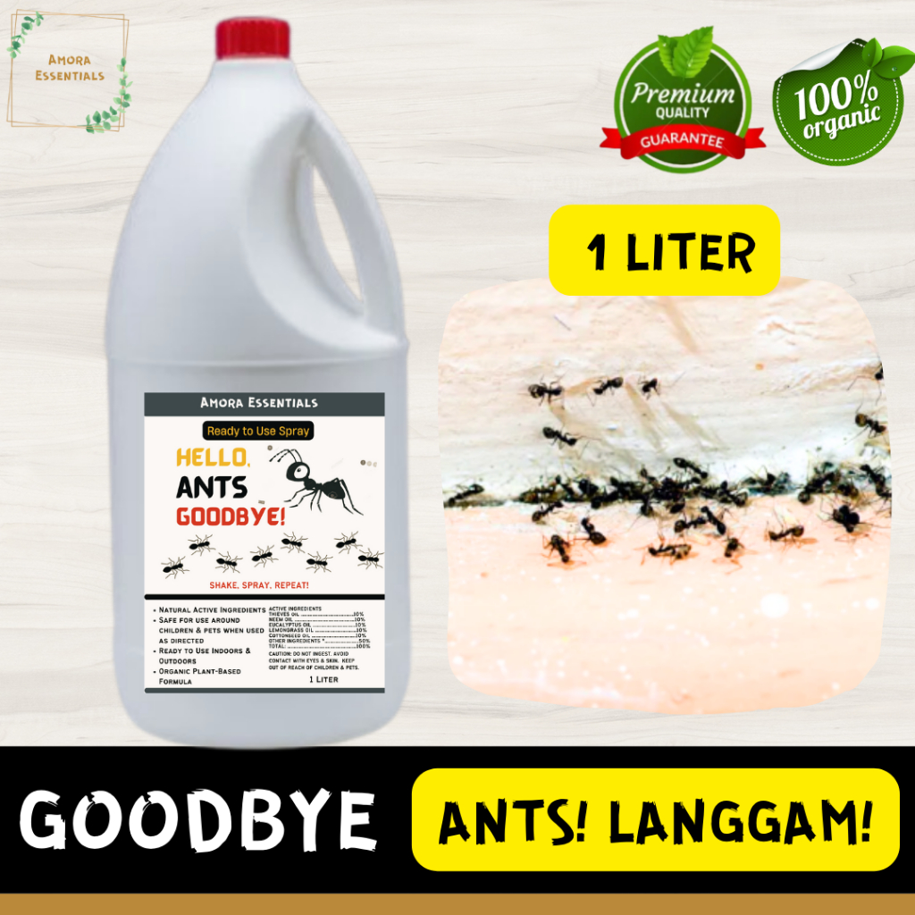 ANT KILLER SPRAY Spray for ants, termites, cockroach (Ant killer), Long ...