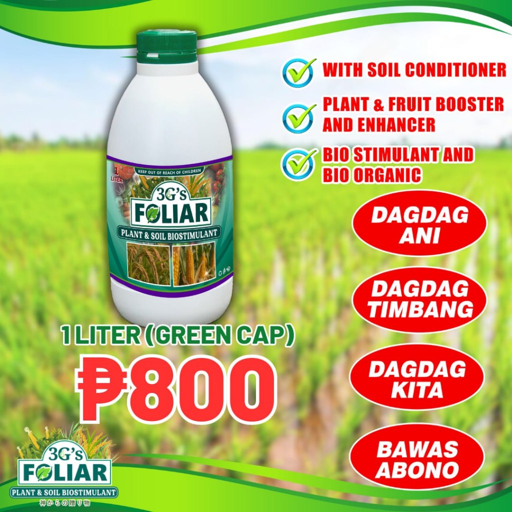 3G'S ORGANIC FOLIAR | PLANT AND SOIL BIOSTIMULANT | ON HAND | 1 LITER ...