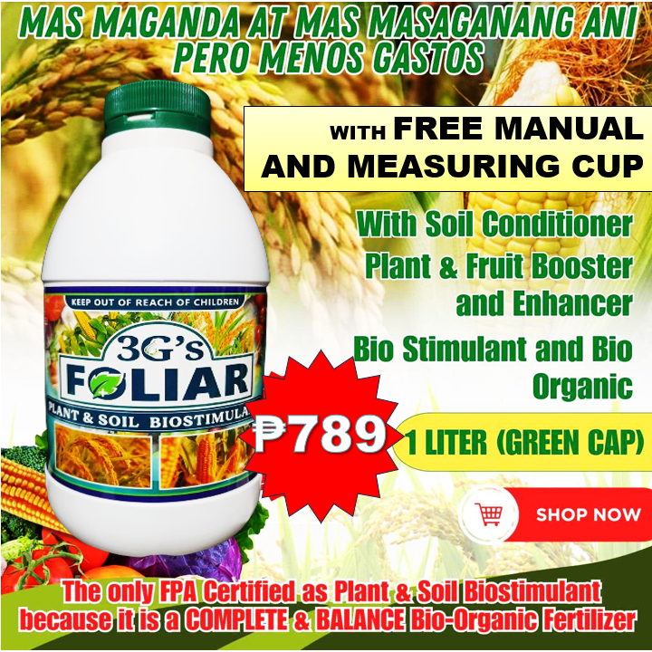 3Gs FOLIAR - ALL IN ONE SUPER FOLIAR BIO ORGANIC LIQUID FERTILIZER ...