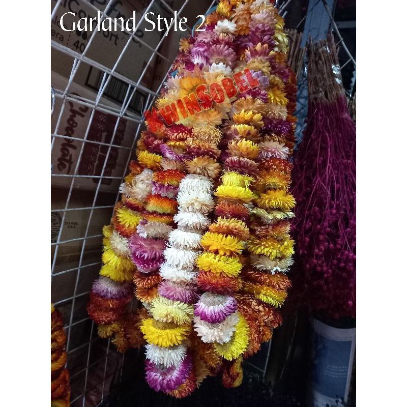 Everlasting Garland Dried | Shopee Philippines