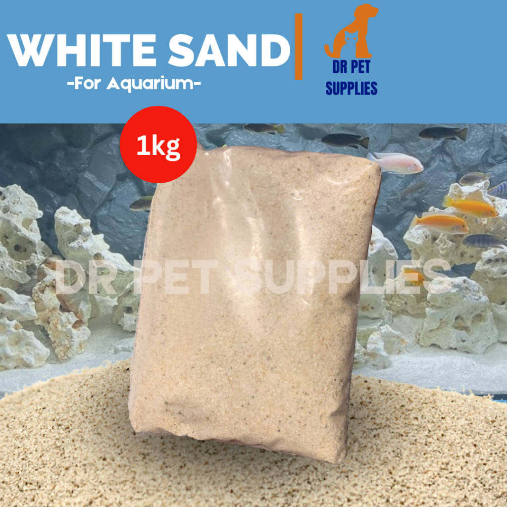 1kg Aquascaping Outdoor Garden White Fine Sand Aquarium Fish ...