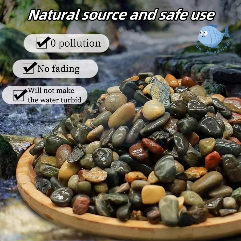 Aquarium Assorted Mindoro Natural stream Stone Pebbles River Stone Fish ...