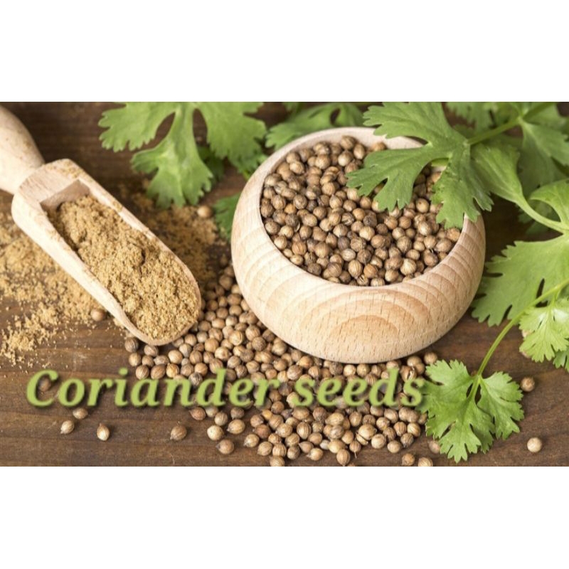 Coriander seeds/Dhania Seeds Fresh from India 100g | Shopee Philippines