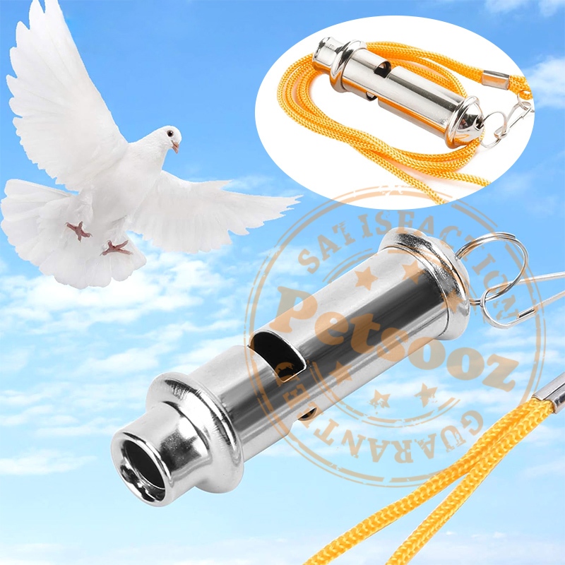 2 Sets Pigeon whistle with lanyard Stainless steel ultrasonic Bird ...