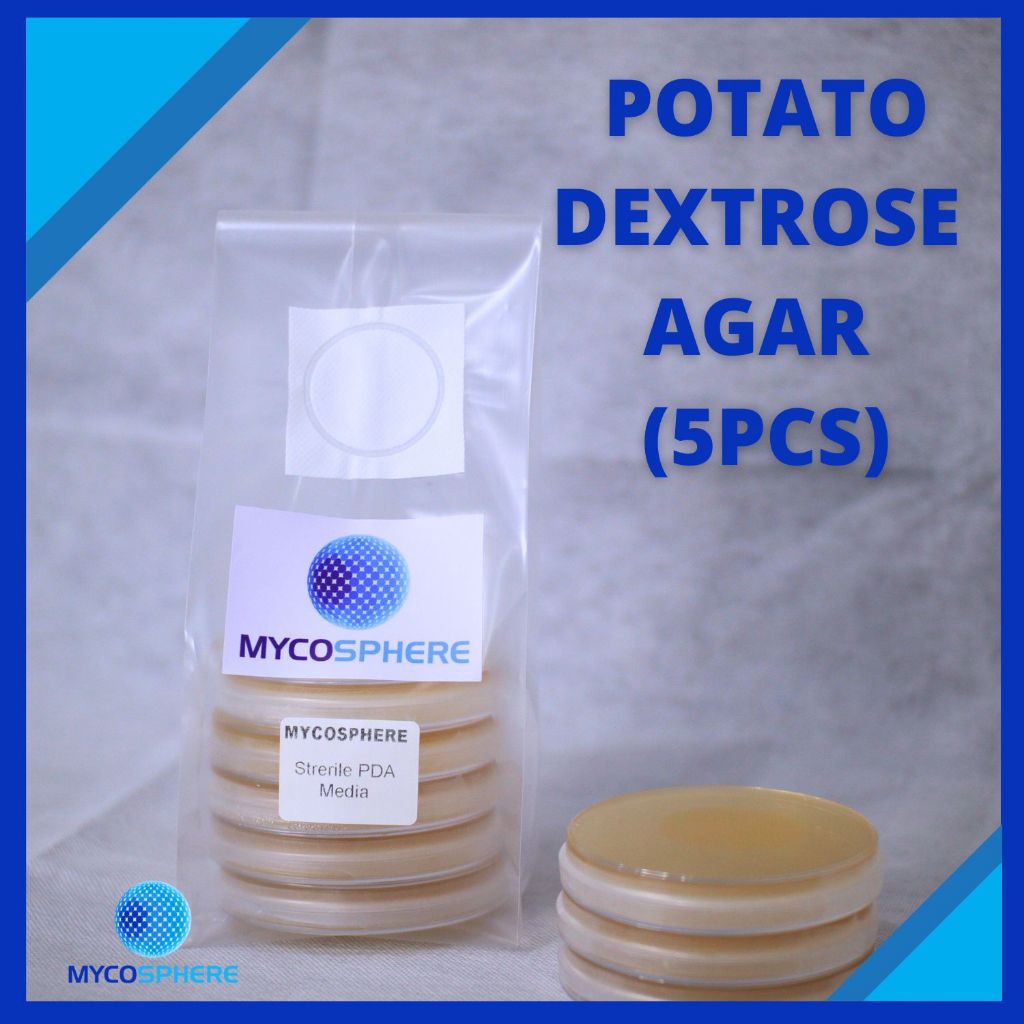Potato Dextrose Agar Media PDA Petri Dish - 5pc Standard Potato ...