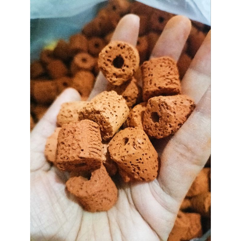 Lava Ring Aquarium Filter Media | Shopee Philippines