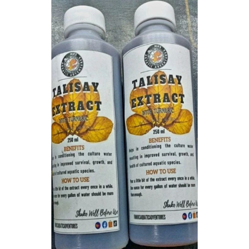 Talisay extract with Turmeric 250ml | Shopee Philippines