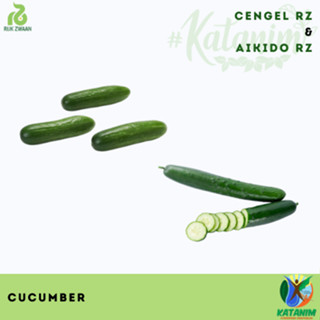 katanim FRUIT BEARING Seeds Collection 3 | Rijk Zwaan Cucumber Eggplant ...