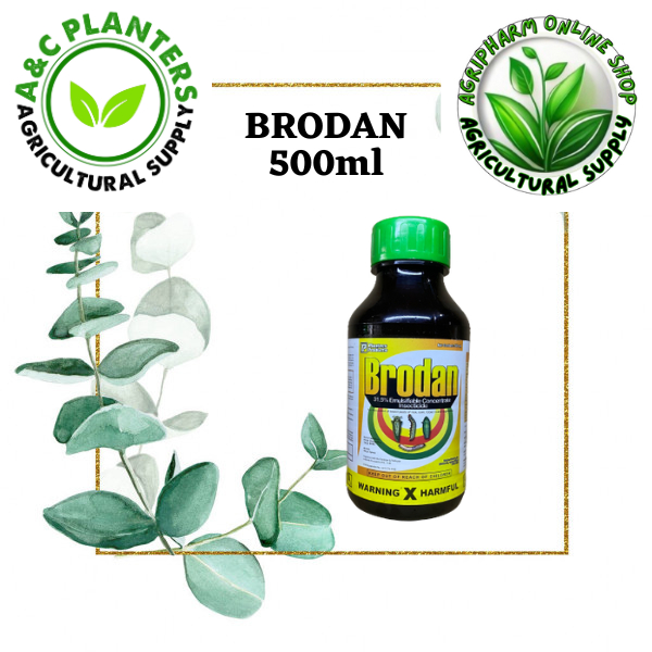 BRODAN INSECTICIDE 500ml | Shopee Philippines